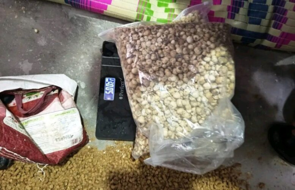 दार्चुलामा वन लसुनसहित एक महिला पक्राउ